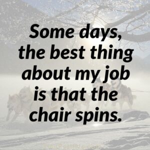 35 Short Funny Quotes About Life to Make You Laugh – Tiny Positive