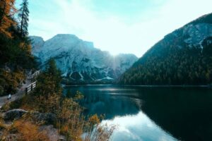 40 Inspirational Quotes About Nature Life and Its Natural Beauty – Tiny ...