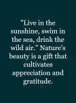 40 Inspirational Quotes About Nature Life and Its Natural Beauty – Tiny ...