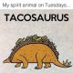 112 Funny Tuesday Memes to Cheer You Up With Pictures – Tiny Positive