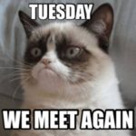 112 Funny Tuesday Memes to Cheer You Up With Pictures – Tiny Positive