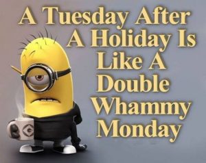 112 Funny Tuesday Memes to Cheer You Up With Pictures – Tiny Positive