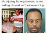 112 Funny Tuesday Memes to Cheer You Up With Pictures – Tiny Positive