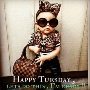 112 Funny Tuesday Memes to Cheer You Up With Pictures – Tiny Positive