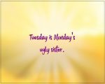 112 Funny Tuesday Memes to Cheer You Up With Pictures – Tiny Positive