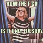 112 Funny Tuesday Memes to Cheer You Up With Pictures – Tiny Positive
