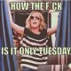 112 Funny Tuesday Memes to Cheer You Up With Pictures – Tiny Positive
