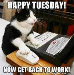 112 Funny Tuesday Memes to Cheer You Up With Pictures – Tiny Positive