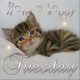 112 Funny Tuesday Memes to Cheer You Up With Pictures – Tiny Positive