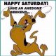 117 Funny Saturday Memes to Cheer You Up With Pictures – Tiny Positive