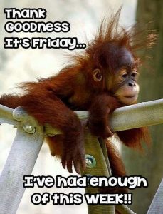 95 Funny Friday Memes | TGIF Friday Quotes With Pictures – Tiny Positive