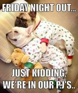95 Funny Friday Memes | TGIF Friday Quotes With Pictures – Tiny Positive