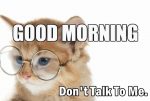 95 Funny Good Morning Memes With Images To Cheer You Up (2026 Original ...