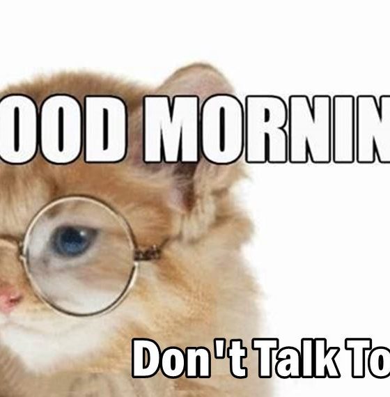 76 Funny Quotes To Make You Laugh, Short Funny Sayings And Quotations ...