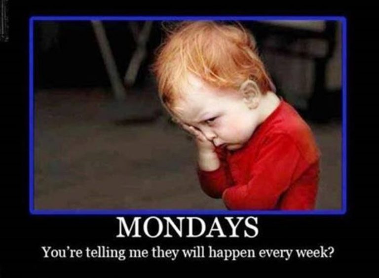 Huge List: 150+ Funny Monday Memes & Captions to Share – Tiny Positive