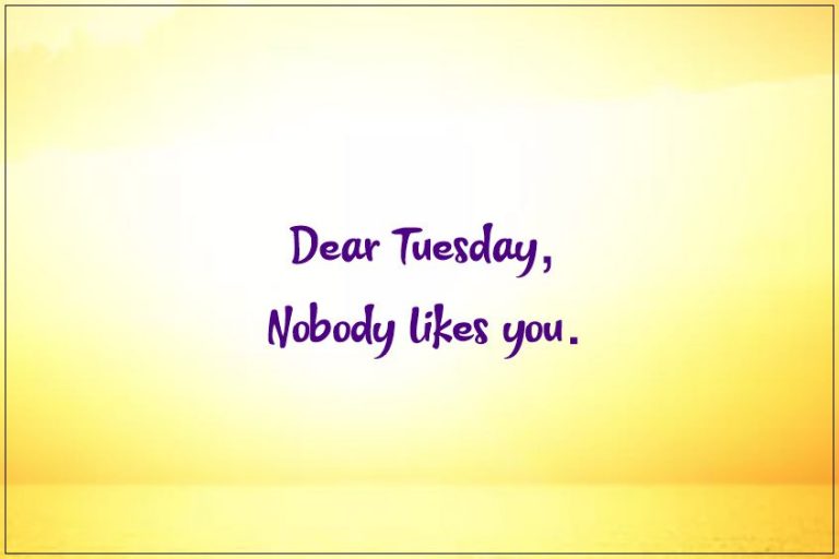 112 Funny Tuesday Memes to Cheer You Up With Pictures – Tiny Positive