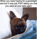 42 Good Night Memes to Cheer You Up With Pictures – Tiny Positive