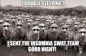 42 Good Night Memes to Cheer You Up With Pictures – Tiny Positive