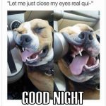 42 Good Night Memes to Cheer You Up With Pictures – Tiny Positive