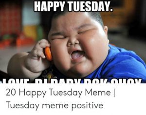 112 Funny Tuesday Memes to Cheer You Up With Pictures – Tiny Positive
