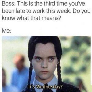 112 Funny Wednesday Memes to Get You Through Hump Day – Tiny Positive