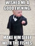 75 Best Good Evening Memes for the Weekend – Tiny Positive