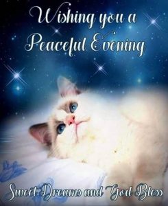 75 Best Good Evening Memes for the Weekend – Tiny Positive