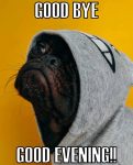 75 Best Good Evening Memes for the Weekend – Tiny Positive