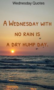 100+ Funny Wednesday Memes to Get You Through Hump Day – Tiny Positive