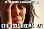 112 Funny Tuesday Memes to Cheer You Up With Pictures – Tiny Positive