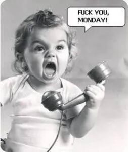 Huge List: 150+ Funny Monday Memes & Captions to Share – Tiny Positive