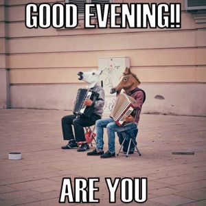 75 Best Good Evening Memes for the Weekend – Tiny Positive