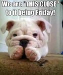 75 Really Funny Thursday Memes to Make Brighten Your day – Tiny Positive