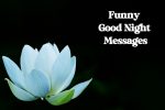 50 of the Funny Good Night Images with Wishes, Greetings, Pictures ...