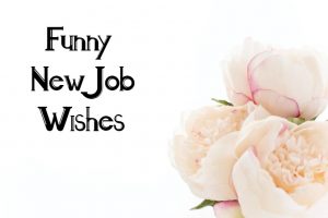 115 Funny New Job Wishes Messages - What to Write in a Congratulations ...