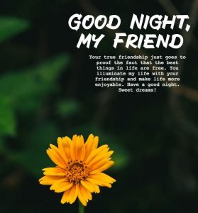 56 Good Night Messages For Friends Images with Pictures for Goodnight ...
