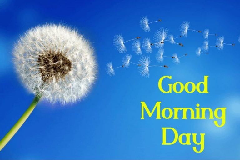 55 Fresh Good Morning Day Images With Quotes, Pictures To Start Your ...
