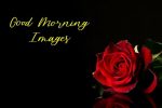 55 Fresh Good Morning Day Images With Quotes, Pictures To Start Your ...