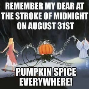 50 Pumpkin Spice Memes Images, Sayings and Puns – Tiny Positive