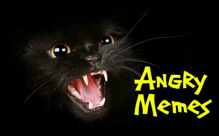 95 Angry Memes That Memes About Funny Frustration With Hilarious Images ...