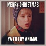 60 Cute Merry Christmas Memes With Merry Christmas Images – Tiny Positive