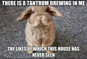 95 Angry Memes That Memes About Funny Frustration With Hilarious Images ...