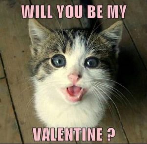 75 Funny Valentine Memes - Valentines Images – Tiny Positive
