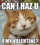75 Funny Valentine Memes - Valentines Images – Tiny Positive