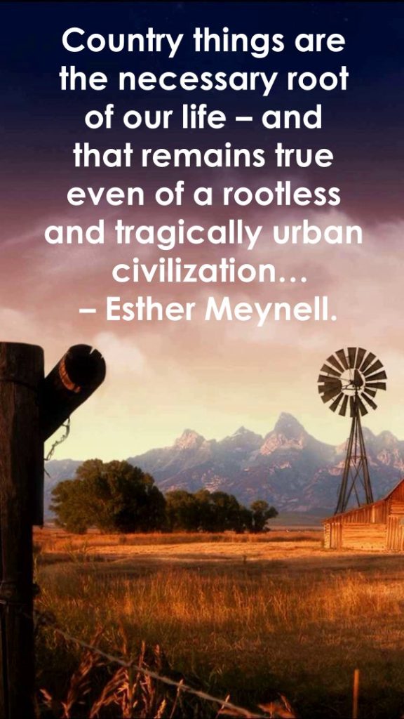 85+ Country Quotes on Life, Love, Filled With Music – Tiny Positive