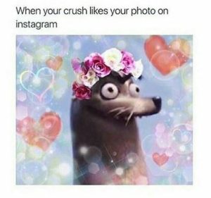 50 Greatest Crush Memes That Perfectly Capture Your Reaction After You ...