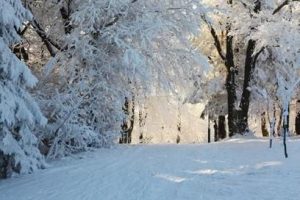 Ultimate 38 Awesome Winter Good Morning Images With Winter Snow ...