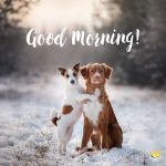 Ultimate 38 Awesome Winter Good Morning Images With Winter Snow ...
