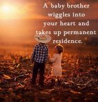 150 Brother Quotes on Your Strong Brotherly Bond You Look Up to the ...