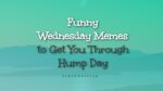 100+ Funny Wednesday Memes to Get You Through Hump Day – Tiny Positive